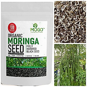 100+ Organic Moringa Seeds| Best for Planting & Gardening| High Yield Fully Matured Black Seeds|Semillas De Moringa| Antioxidant Rich Superfood - Mogo