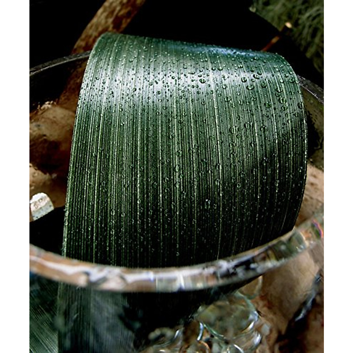 Richland Variegated Aspidistra Ti Leaf Floral Ribbon 4" x 50 Yards