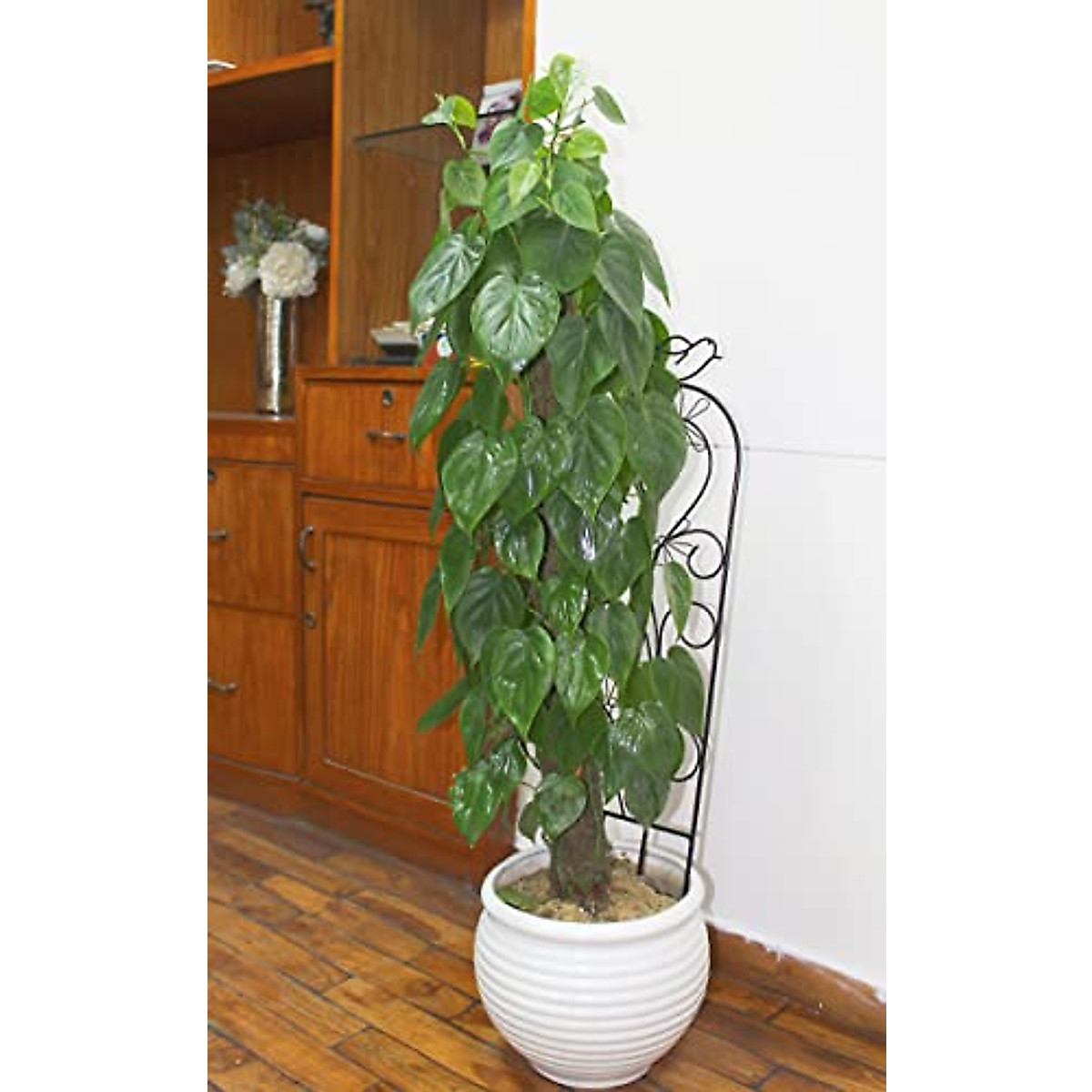 Hosley Set of 2 Iron Wave Pot Trellis 28 Inch High. Ideal Gift for Wedding or Party and Use Next to Structures Home or Office or in Planters for Growing Floral Plants Vines and Vegetables O4