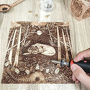 Wood Burning kit, Professional WoodBurning Pen Tool, DIY Creative Tools ,Wood Burner for Embossing/Carving/Pyrography，Suitable for Beginners,Adults