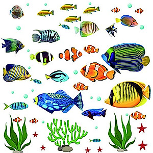 Fish Wall Stickers Under The Sea Decorative Wall Decals Coral Reef Fish Wall Stickers Peel and Stick Starfish Wall Art Sticker Decals for Kids Nursery Bedroom Living Room