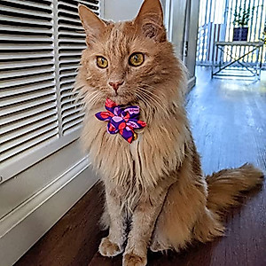 H&K Pet Pinwheel | Convo Hearts (Large) | Valentine's Day Velcro Collar Accessory for Dogs/Cats | Fun Pet Pinwheel Collar Attachment | Cute, Comfortable Pet Accessory