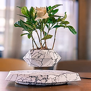 HCNT Floating Plant Pot - Levitation Air Bonsai Pot for Succulents, Floating Planter, Potted Plant Home, Office & Decor in Flower Pots for Home. (Marble)