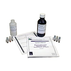 Innovating Science Electrophoresis: Agarose Gel Separation of Dyes Kit
