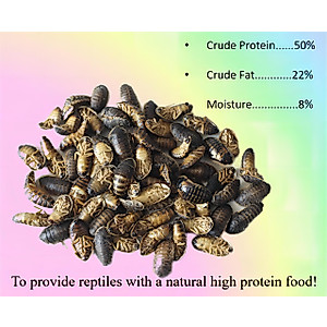Classic Flock 2oz Freeze-Dried Dubia - High Protein Reptile & Amphibian Food