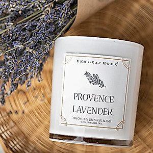 Red Leaf Home Provence Lavender Candle - Naturals Collection, Large - 15.5 Ounce Jar