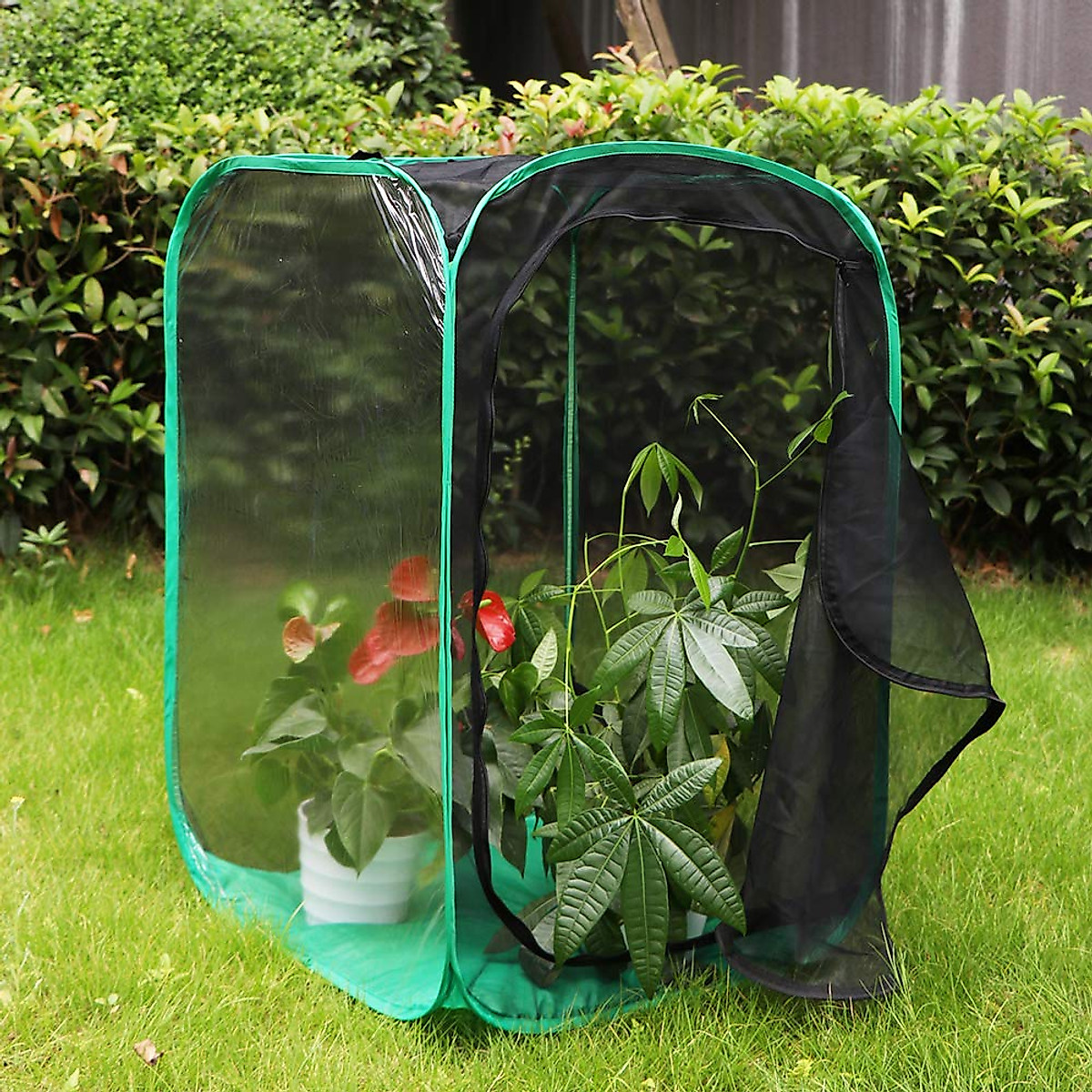 RESTCLOUD 36" Large Monarch Butterfly Habitat, Giant Collapsible Insect Mesh Cage Terrarium Pop-up 24 x 24 x 36 Inches