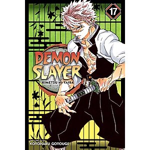 Demon Slayer: Kimetsu no Yaiba, Vol. 17 (17)