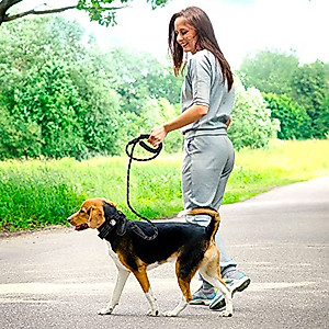 Maidek Airtag Dog Collar Holder - Heavy Duty & Thick Titanium GPS Tracker Holder, Reflective Nylon - Chewproof, Magnetic Dog Collar Tag with Leash, Poop Bag - Black, Medium Size 1.25x15-18