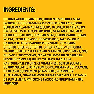 PEDIGREE Small Dog Complete Nutrition Small Breed Adult Dry Dog Food Grilled Steak and Vegetable Flavor Dog Kibble, 3.5 lb. Bag