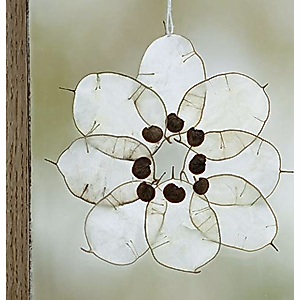 Gaea's Blessing Seeds - Honesty Seeds - Non-GMO Seeds with Easy to Follow Planting Instructions, Annual Honesty, Moonwort, Money Plant, Silver Dollar Plant, Lunaria Annua, 90% Germination Rate