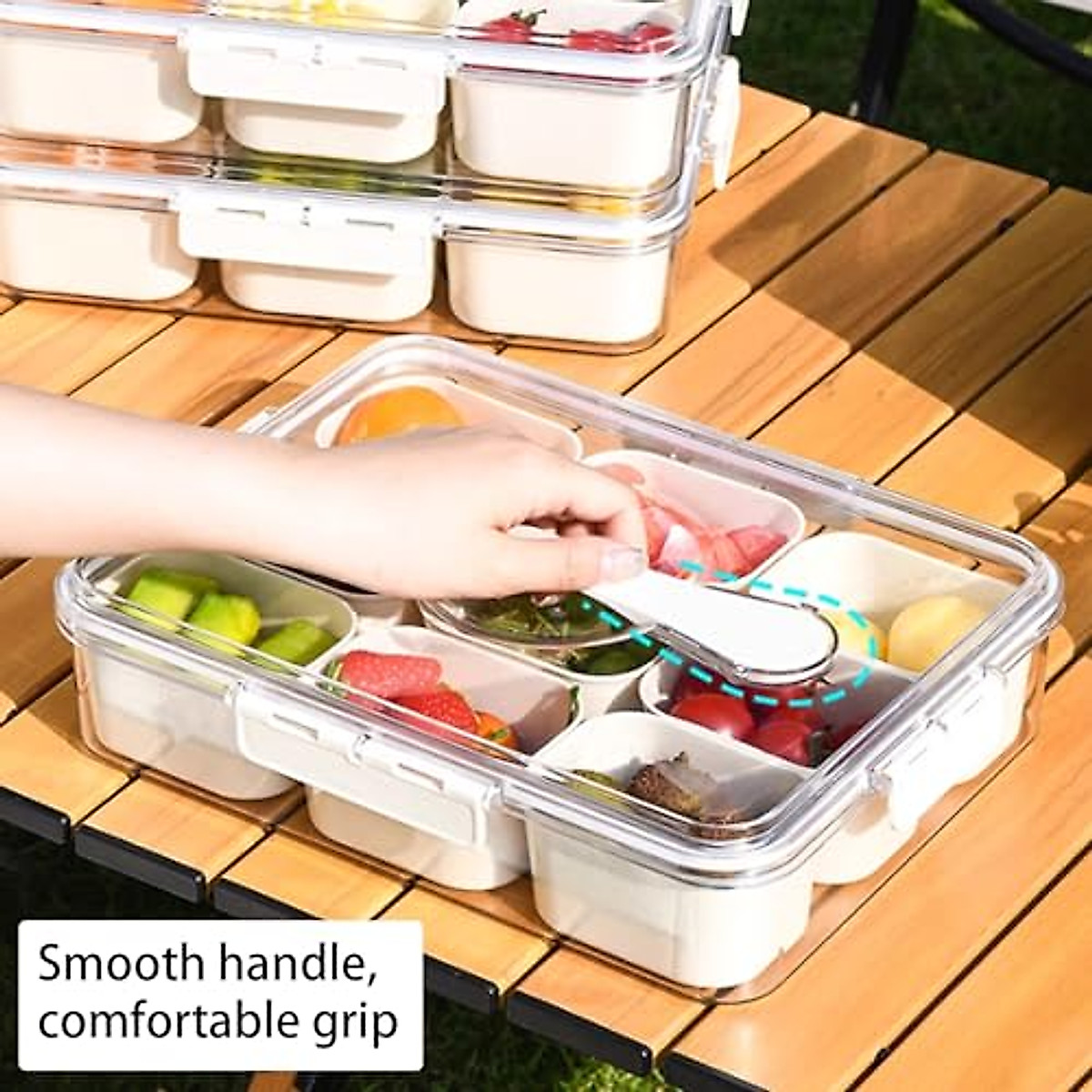 2 Pack Portable Picnic Parties Fruit Tray, 9 Compartment Fridge Food Veggie Condiment Divided Serving Preservation Storage Containers, Kitchen Clear Snackle Box Candy Organizer with Lid Handle
