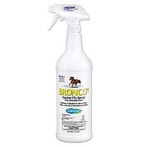 Bronco E Equine Fly Spray Plus Citronella Scent, 32 fl oz; Okocat Natural Wood Cat Litter, Long Hair Breeds, 8.4 lbs (2)