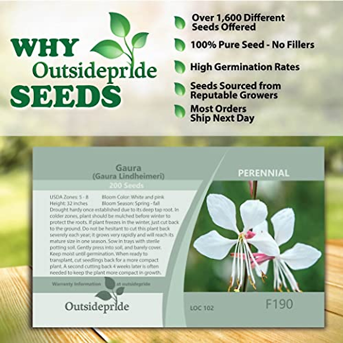 Outsidepride Gaura Drought Tolerant Garden Flowers - 200 Seeds