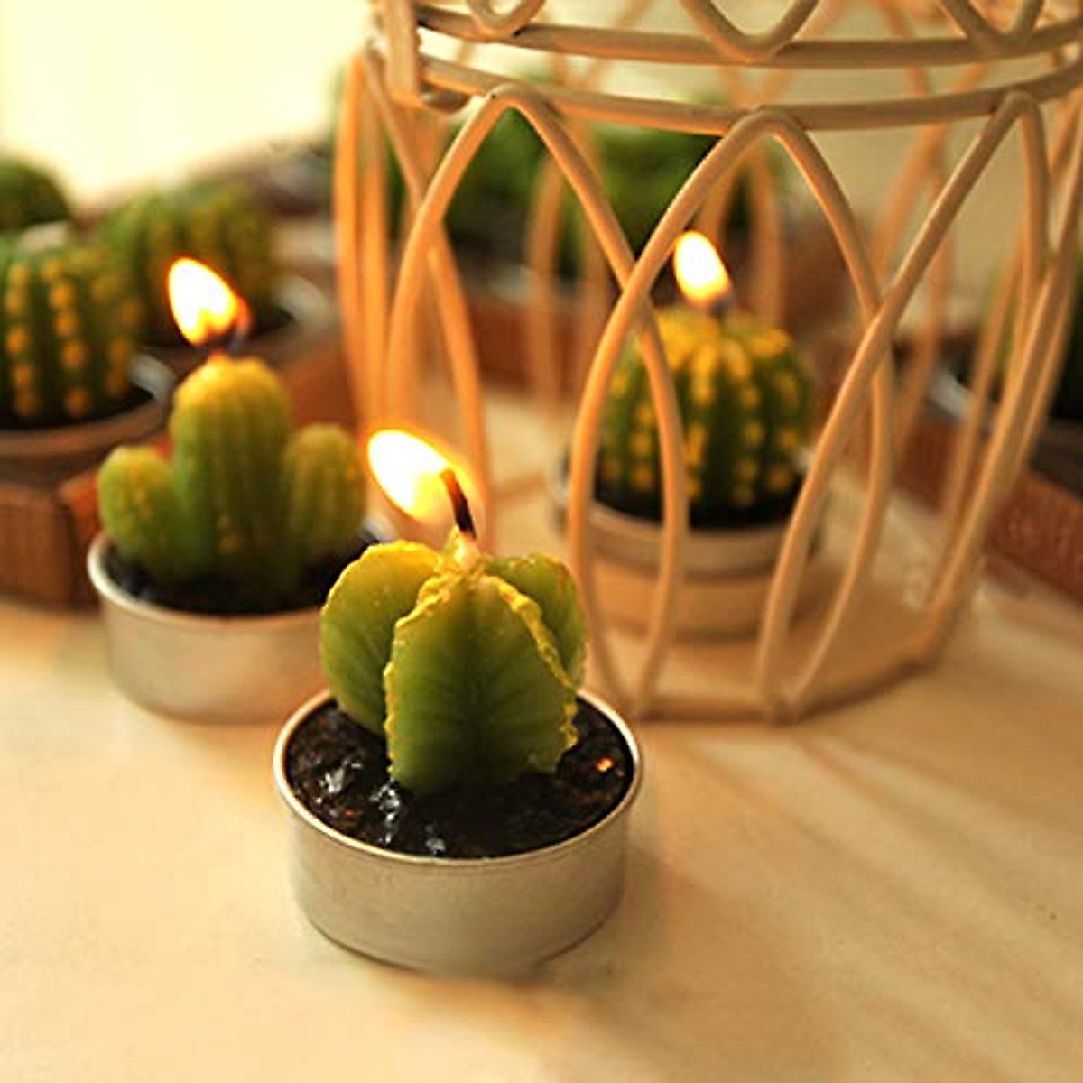 Outee 12 Pcs Cactus Tealight Candles Handmade Delicate Succulent Candle Cactus Candles Smokeless Aromatherapy Mini Candles Tea Lights 12 Styles for Home Décor Birthday Gift Party Wedding SPA