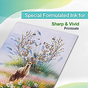 Miss Deer Compatible LC3035 Ink Cartridges Replacement for Brother 3035 3035xxl LC3035XXL Work for Brother MFC-J995DW MFC-J995DW XL MFC-J805DW MFC-J805DW XL MFC-J815DW (1BK, 1C, 1M, 1Y) 4-Pack