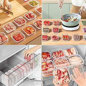 Iwinna Food Storage Containers with Lids, Plastic Fridge Organizer Clear Bins, 350ml Sealed Food Containers, Reusable Takeaway Kitchen Freezer Storage Boxes, 10pcs