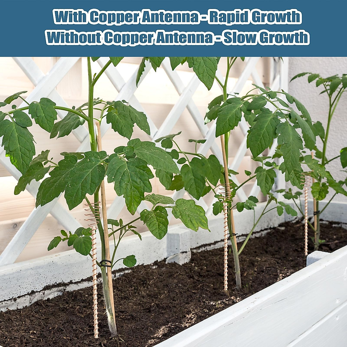 10pcs Electroculture Plant Stakes 20” Copper Gardening Antenna Clockwise Wound Copper Coil Electronic Planting for Outdoor Indoor Promote Vegetables Plants Growth Using Atmospheric Ether Energy