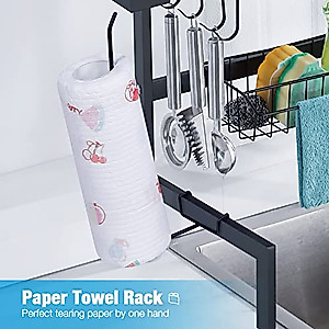 LEPO Over The Sink Dish Drying Rack, 2 Tier Stainless Steel Adjustable Length (25.6-33.5in) & Height(20.5-24.4in) Large Dish Rack Drainer with Utensil Holder for Kitchen Countertop Organizer, Black