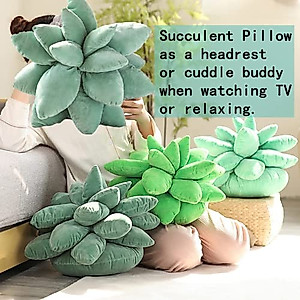 JIFOVER 3D Succulents Pillow-Cute Pillows-17.7in Cute Succulents Stuffed Plush Cactus Throw Pillows for Green Lovers Soft Plant Leaf Shaped Decorative Pillows (10in/Dark Green)