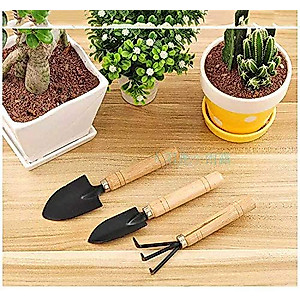 Diligent Farmer Mini Garden Tool Set, 3 Piece Hand Suit Small Shovel/Rake/Spade Ideal for Men and Women