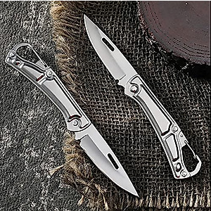 DHDestined Fateful Mini Pocket Knife Folding Knife, with 2.6in Sharp Steel Blade, EDC Knife for Hiking, Camping, Outdoor