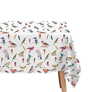 Xigejob Bird Party Tablecloth Decorations - Disposable Bird Birthday Party Supplies Table Cover, Colorful Birds Feather Bridal Baby Shower Summer Tea Party Table Cloth - 4 Pack (54in x 108in)