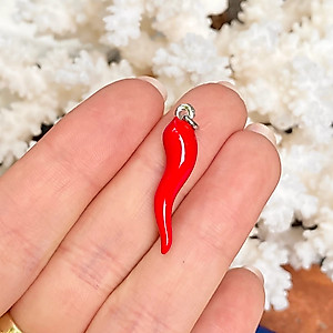 JewelryWeb - Sterling Silver Red Enamel Italian Horn Pendant - 33mmx7mm - Good Luck Amulet Necklace - Italian Horn Necklace for Women Teens