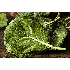 Champion Collard Greens Seeds, 1000 Heirloom Seeds Per Packet, (Isla's Garden Seeds), Non GMO Seeds, Botanical Name: Brassica oleracea