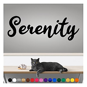 Transform Your Walls with Professional Grade, Outdoor Weatherproof Vinyl Stickers - Happy Sunday - UV Resistant, Made in The USA! Inspirational Words: Serenity: 14 Inch, Satin Silver