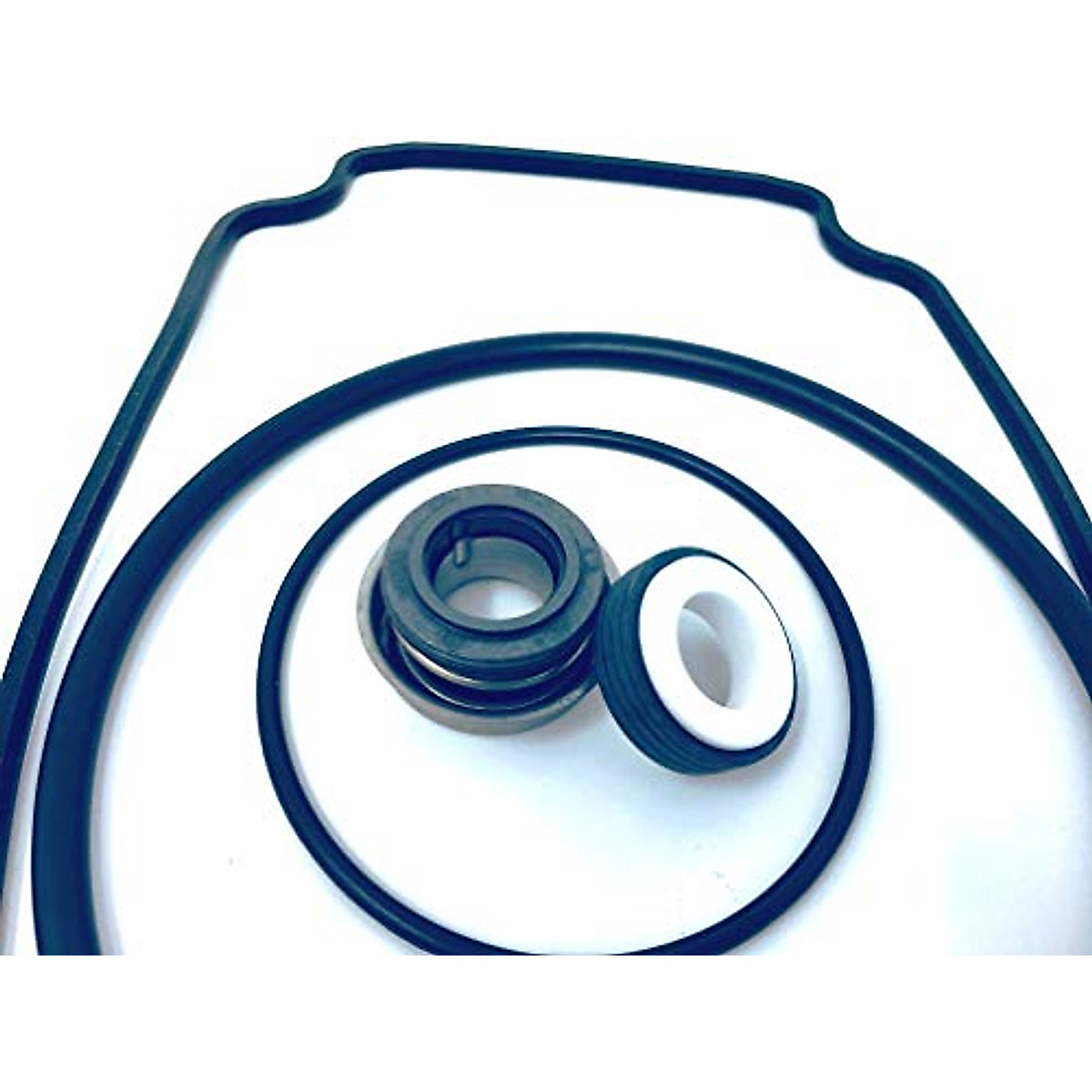 Tiki Island Pool Express Replacement Shaft Seal O-Ring Kit for Pentair Whisperflo Motor Installation