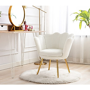 chairus Small Accent Chair for Living Room, Velvet Gold Cute Vanity Chair with Back for Makeup Room, Upholstered Shell Shaped Office Guest Modern Chair Arm Chair, Cream White