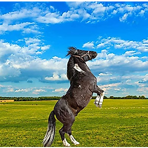 Ivermax (ivermectin Paste) 1.87% for Oral Use in Horses Only - 4 Pack