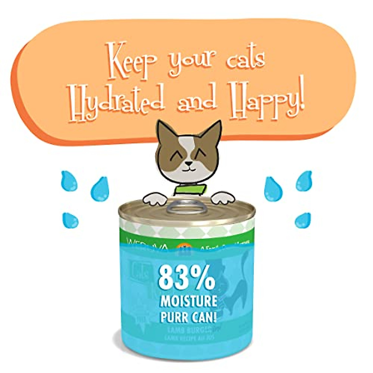 Weruva Cats in The Kitchen, Lamb Burger-ini Wet Cat Food, 10oz Can (Pack of 12)