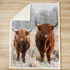Highland Cattle Pattern Throw Blanket Highland Cow Blanket for Kids Boys Girls Farmhouse Cow Landscape Blanket for Chair Office Room,Throw (50 x 60 Inches)