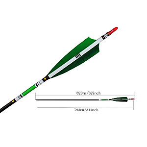 TTFLY FLETCHING 31 inch Carbon Arrows Green Turkey Feather Targeting Arrows Archery with Screw-in Field Tips Hunting&Practice(12 Pack)