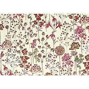 Wildflower Meadow Note Cards (Stationery, Boxed Cards)