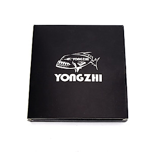 YONGZHI Fishing Lures Shallow Deep Diving Swimbait Crankbait Fishing Wobble Multi Jointed Hard Baits for Bass Trout Freshwater and Saltwater