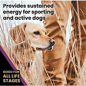 Victor Super Premium Dog Food – Professional Dry Dog Food – Super Premium Dog Food with 26% Protein, Gluten Free - for High Energy and Active Dogs & Puppies, 40lbs