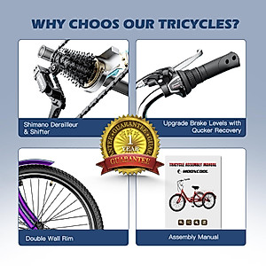 Barbella Adult Tricycles, 7 Speed Adult Trikes 20/24/26 inch 3 Wheel Bikes, Cruise Bike with Basket for Seniors, Women, Men for Recreation, Shopping, Exercise, Multiple Colors