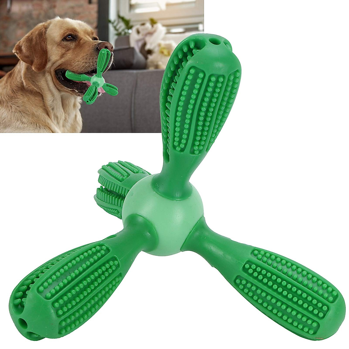 Dog Teether Dog Toothbrush Stick Teeth Cleaning Dental Educational Chew Toy TPR Pet Molar Rod Suitable for Dogs Dog Teeth Cleaning Stick(Green)