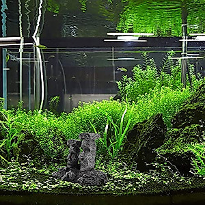 Mini Landscape Ornaments, Easter Island Stone Head Aquarium Ornament Resin Fish Tank Moai Statue Micro Landscape Decoration Accessories for Fish Tank Aquarium