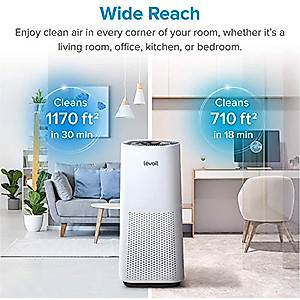 LEVOIT Air Purifiers for Home Large Room with HEPA Filter (LV-H134) and Air Quality Monitor (LV-H133)