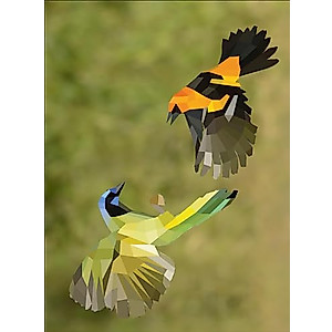 Paint by Sticker: Birds: Create 12 Stunning Images One Sticker at a Time!