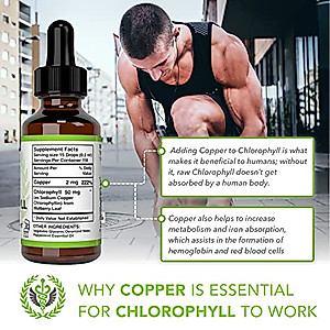 Chlorophyll Liquid Drops – Energy Boost | Immune System Support | Internal Deodorant | Altitude Sickness. Premium Quality – 100% Natural, Potent, Minty Taste, 2X Absorption.
