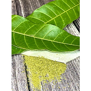 Mango Leaf Tea by Palm Beach Herbals, 30 Count Tea Bags, Caffeine-Free | Pure Herbal Tea Series