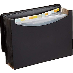 Amazon Basics Expanding Organizer File Folder, Letter Size - Black, 1-Pack
