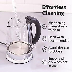 Vianté Electric Glass Tea Kettle with Removable Infuser. Hot tea infuser Pot for Loose Leaf & Bagged Tea. BPA-FREE. Stainless Steel & Borosilicate Glass. LED Illuminated. 1.7 Liters capacity.