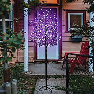 FUCHSUN Solar Blossom Tree 6 FT Garden Led Tree Light with 200 Flowers Outdoor Pathway Light Tall Artificial Tree for Spring Decoration (Purple)