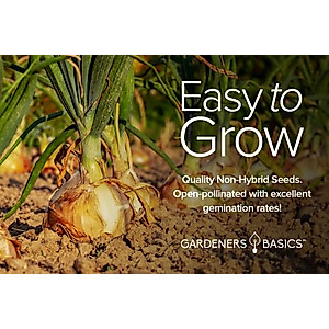 Onion Seeds for Planting - 8 Long and Short Day Varieties Yellow, Red, White, Sweet and Green Onions for Summer, Fall, Onion Seed by Gardeners Basics